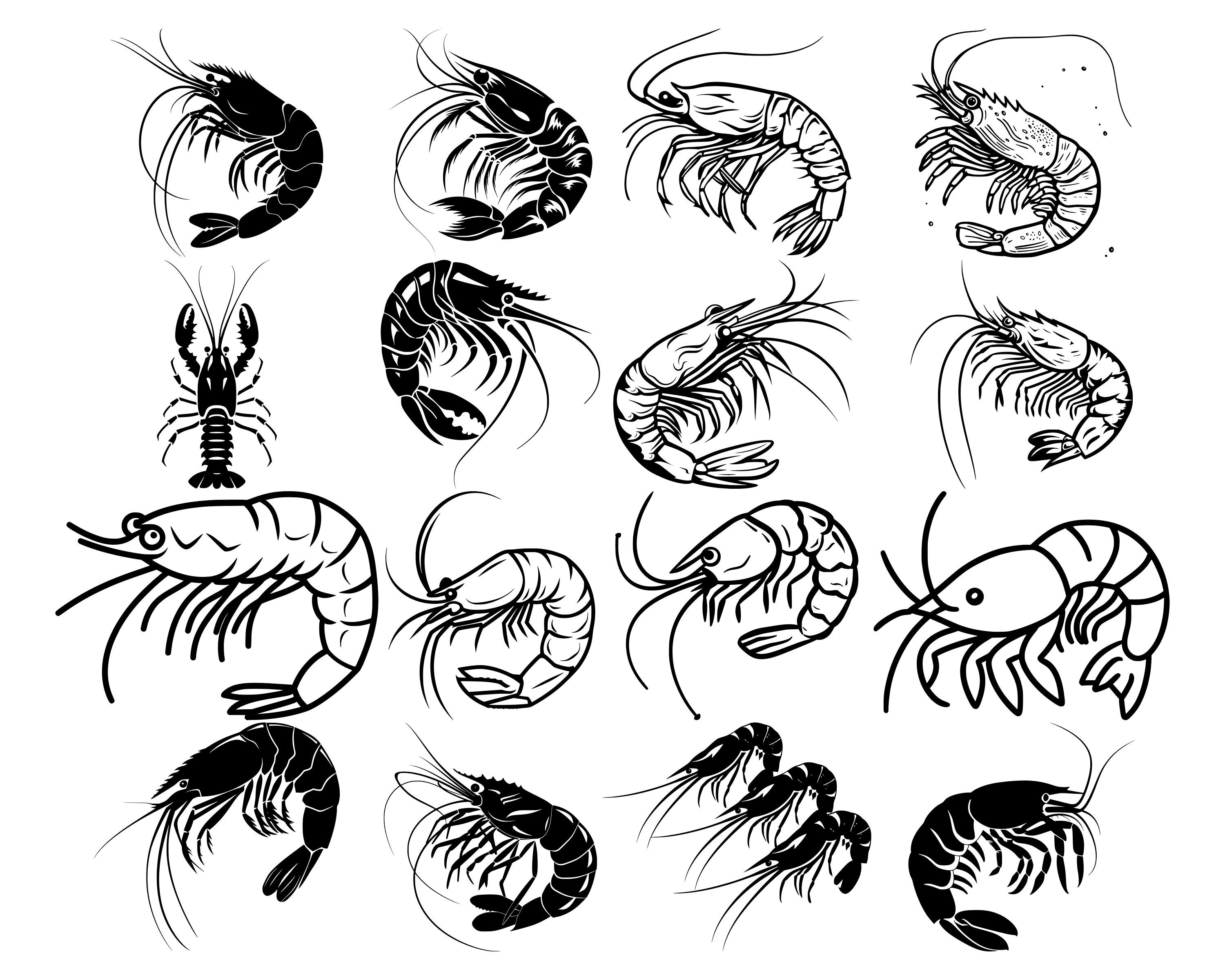 Shrimp SVG Seafood Prawn PNG Drawing for Download, Printable Sea ...