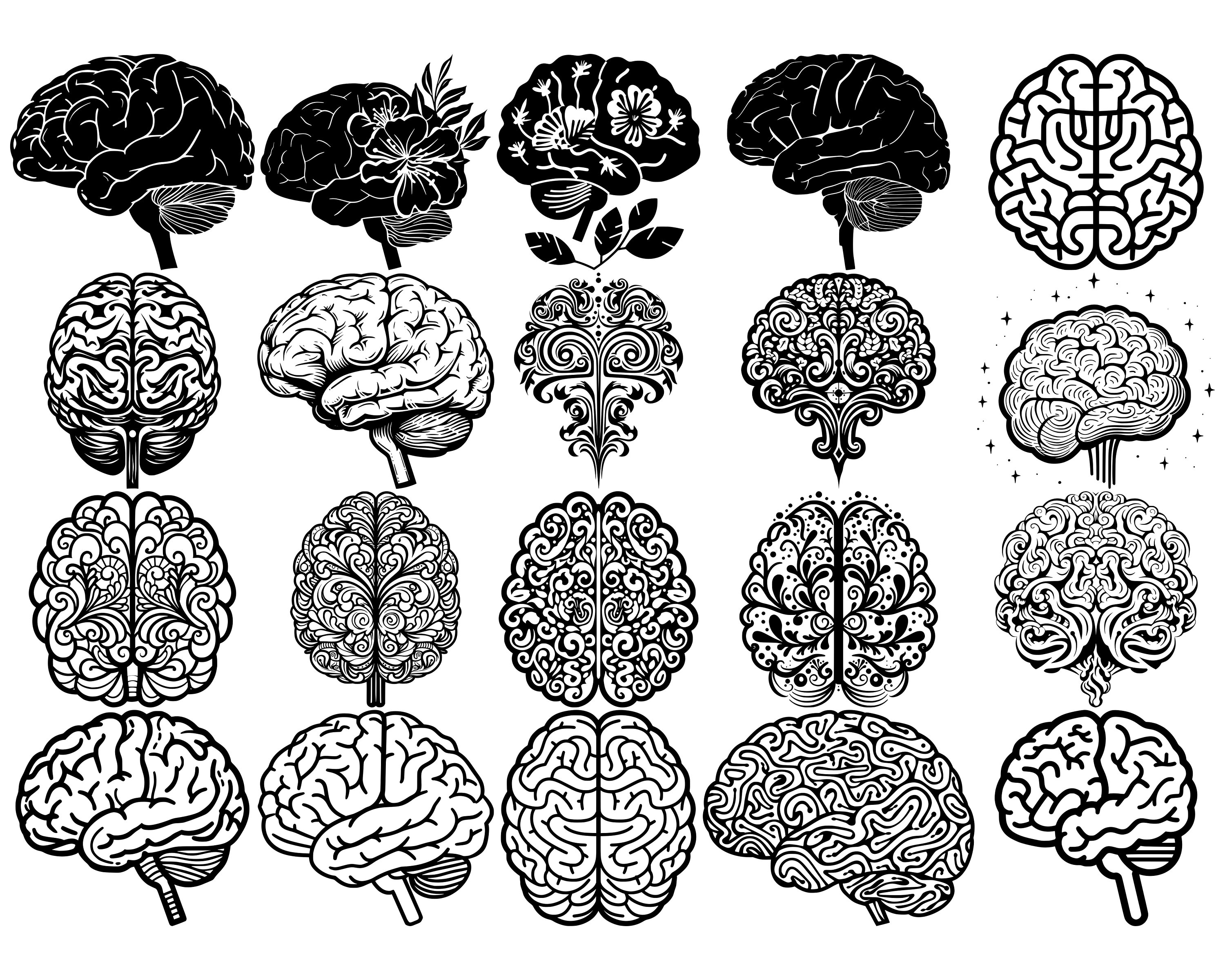 Brain SVG Medical PNG Files for Digital Download, Printable Human ...