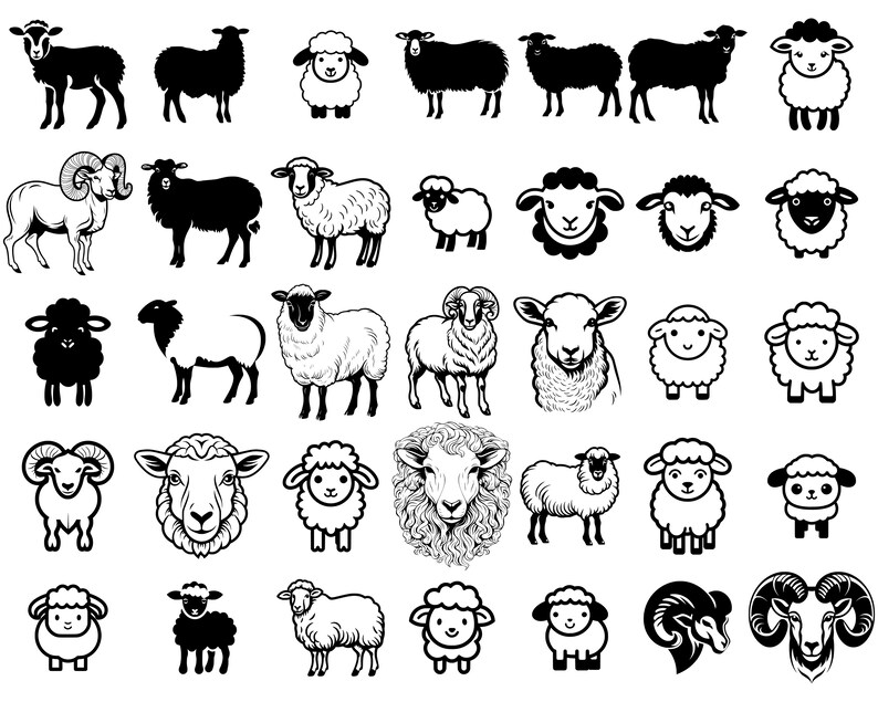 Sheep SVG Bundle 172 Different Designs of Lambs, Sheep and Rams - Etsy