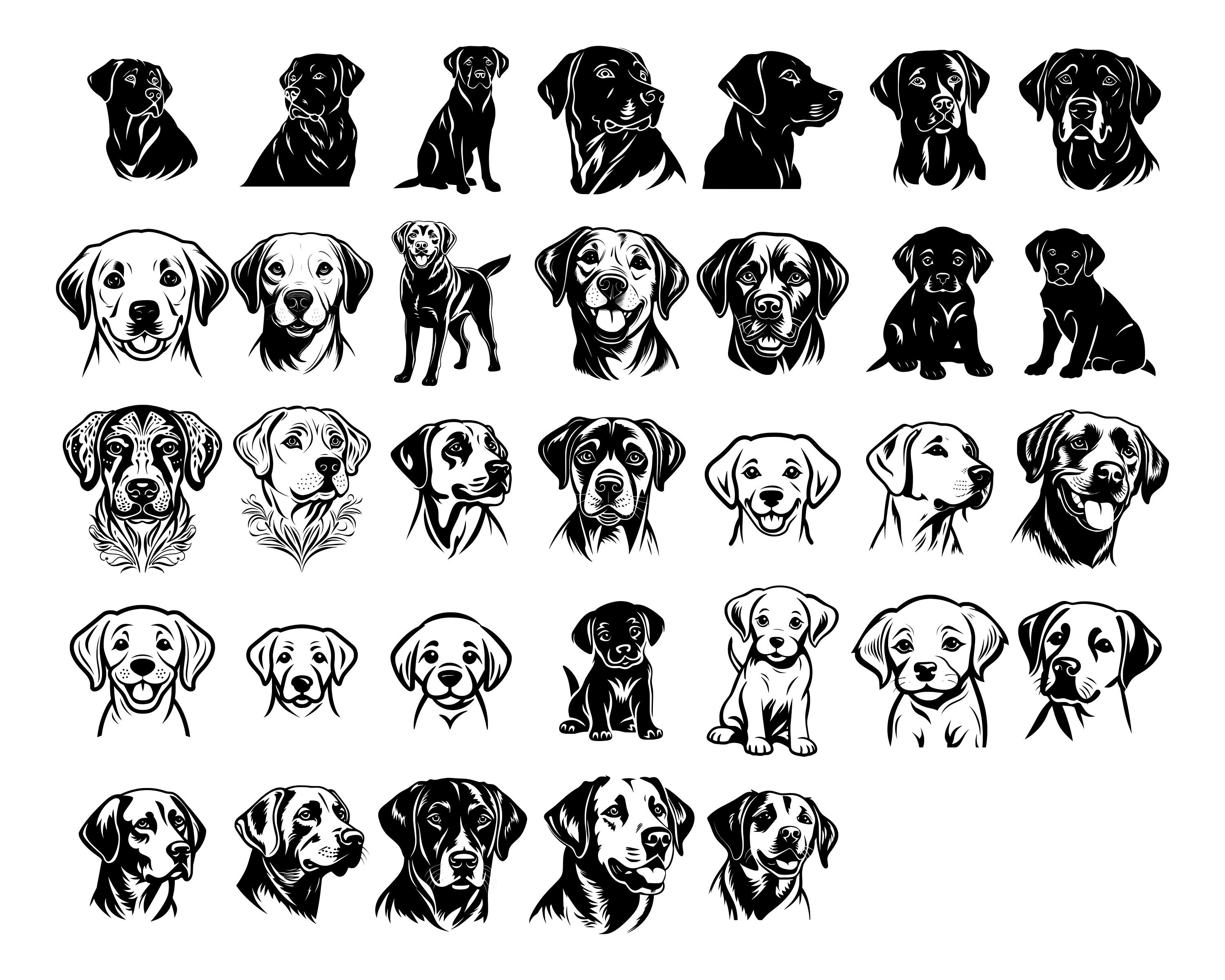 Labrador Retriever SVG Bundle 193 Different Dog Svg Designs of Labrador ...