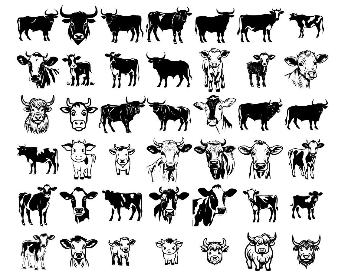 Cow SVG Bundle 277 Different Designs of Cows Including Highland Cow SVG ...
