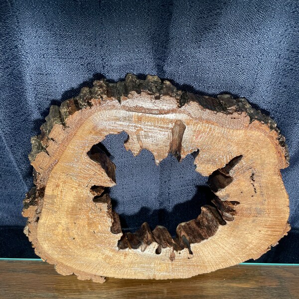 Oak Tree Slice - Etsy