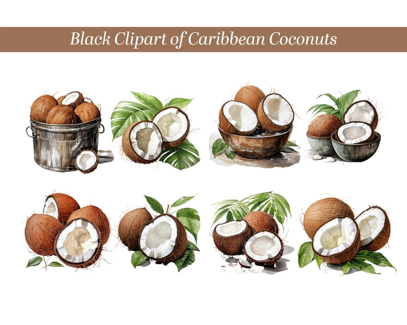 Caribbean Coconut Watercolor Clipart: Tropical Fruit Graphics (digital ...