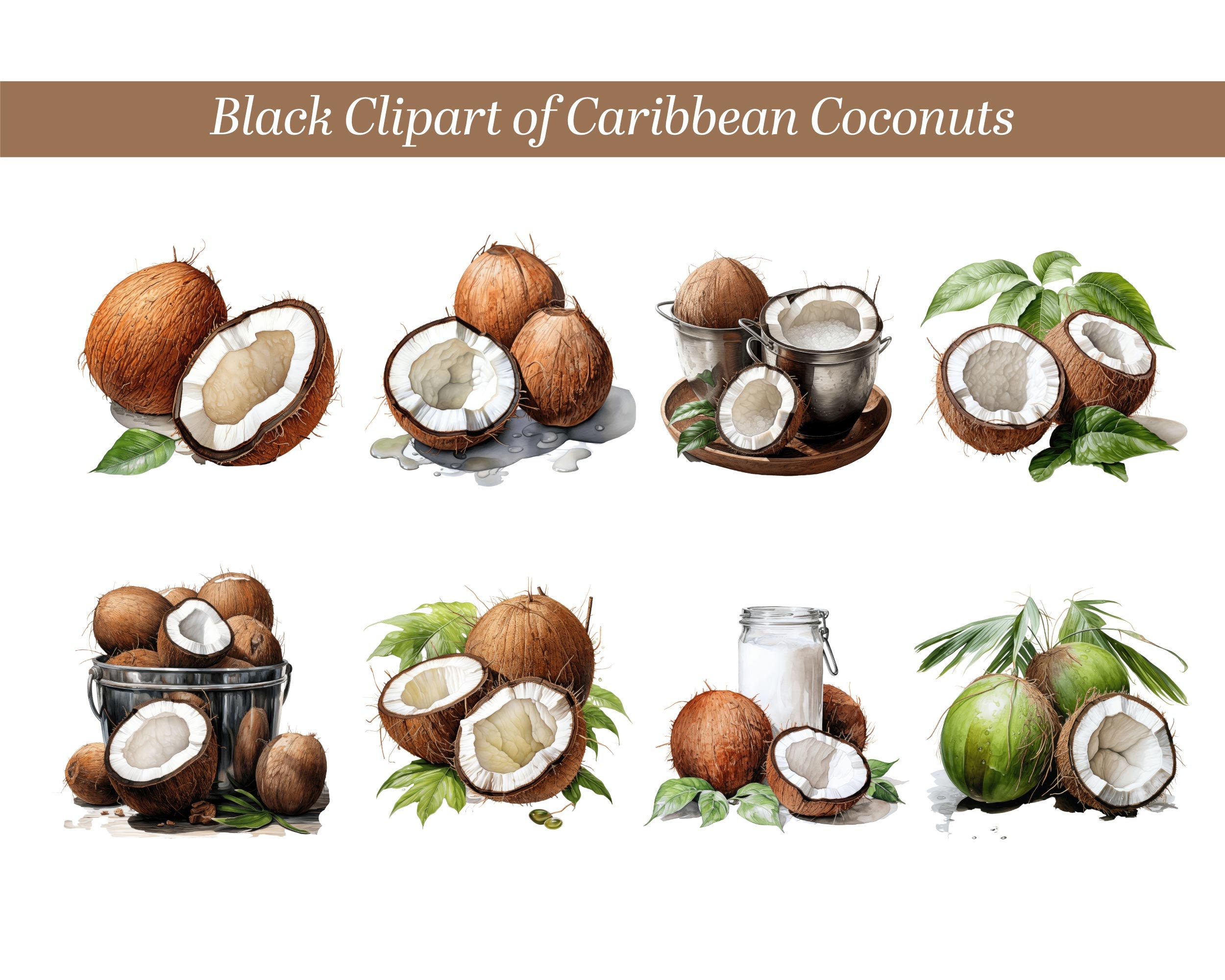 Caribbean Coconut Watercolor Clipart: Tropical Fruit Graphics (digital ...