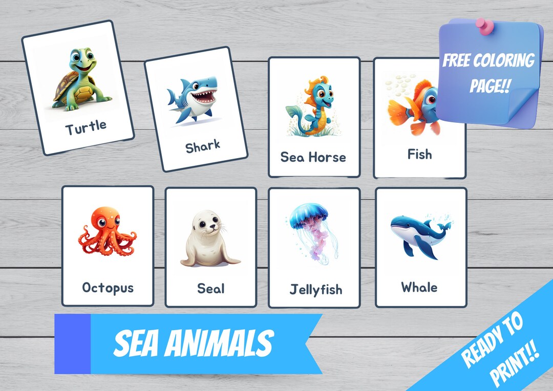 SEA ANIMALS- 12 Unique Flash Cards- Ready to Print- Pdf Printable Cards ...