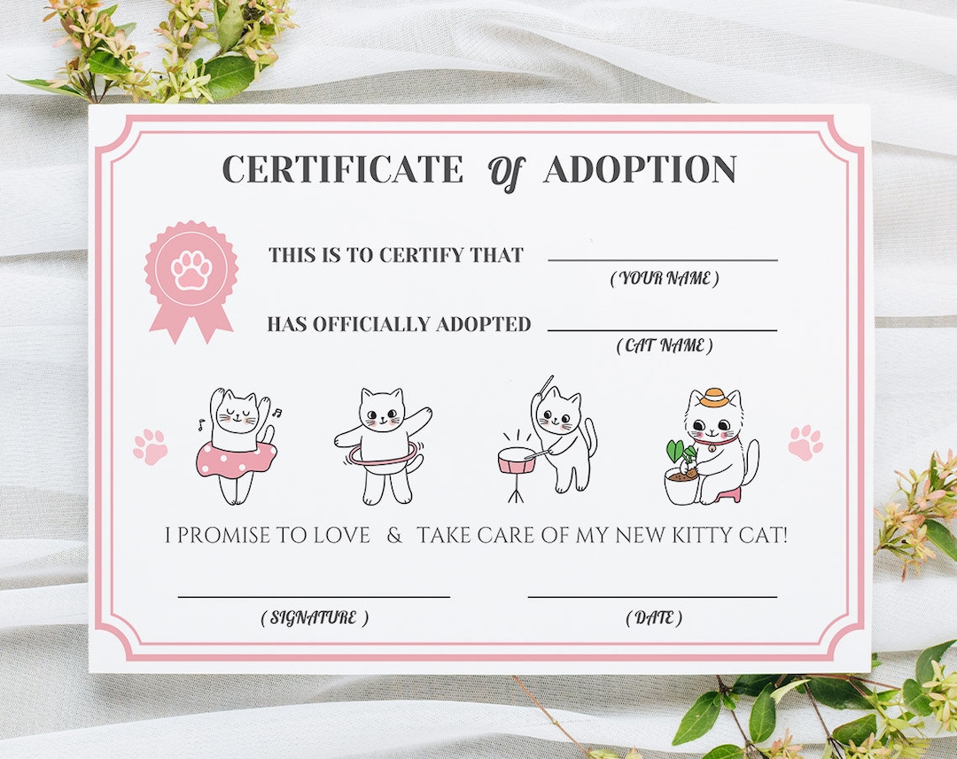 Editable Pet Adoption Certificate, Cat Adoption Certificate, Kitty Cat ...