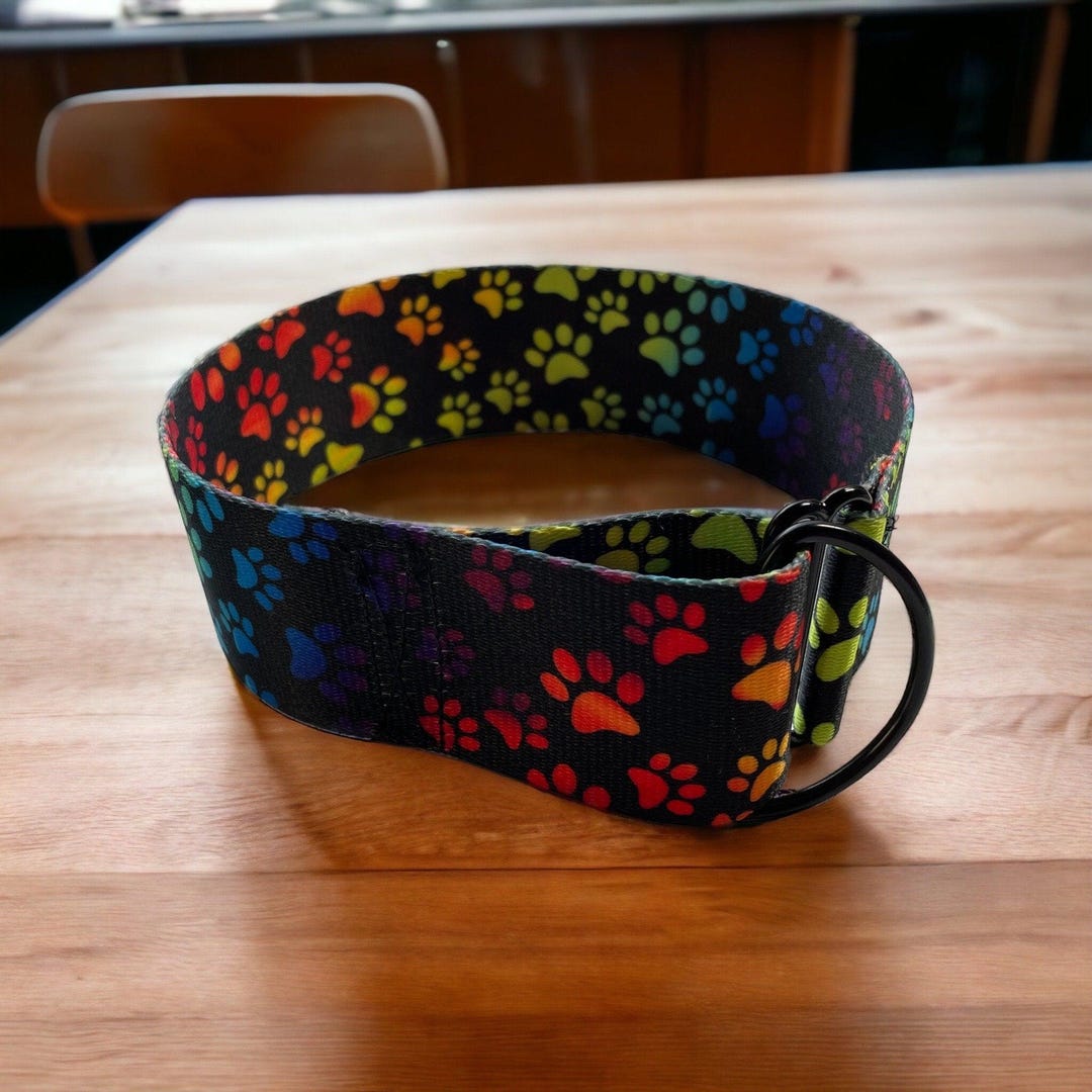 Martingale Dog Collar, Rainbow Paw Design, for Agility Dog Sport ...