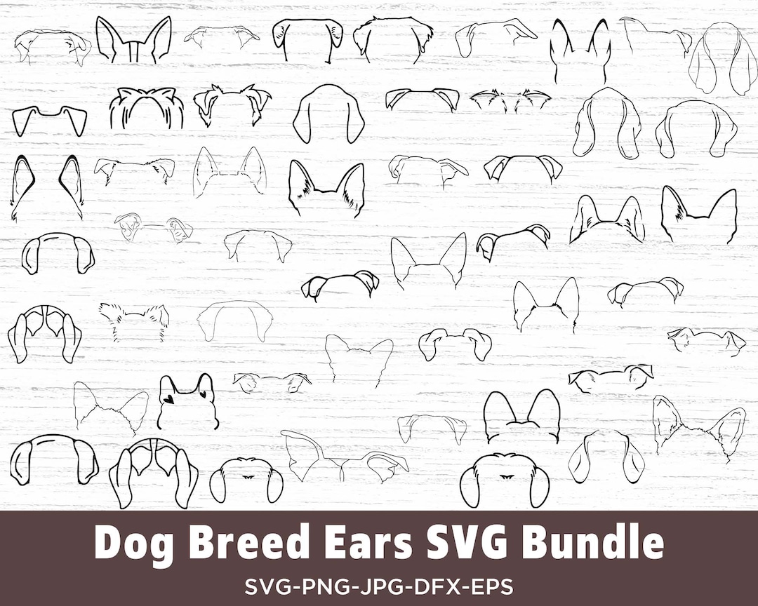 Dog Breed Ears Svg Bundle, Dog Breed Ears Svg, Dog Ears Outline Bundle ...