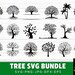 Tree Svg Bundle Family Tree Svg Bundle Tree Roots Svg Our - Etsy