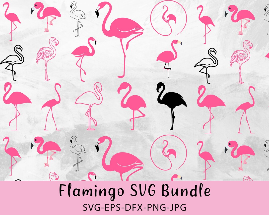 Flamingo Svg Bundle, Flamingo Png Bundle, Flamingo Svg File, Flamingo ...