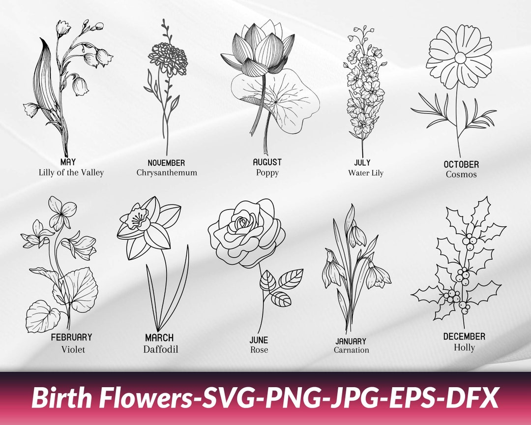 Birth Flowers Svg Bundle, Birth Month Svg Bundle, Birth Month Flowers ...