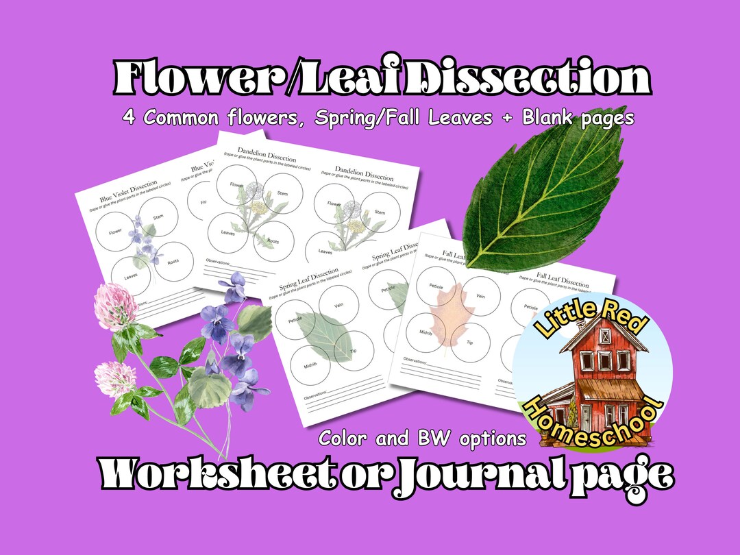 Leaf Unit Study Leaf and Flower Dissection Worksheets for Science ...