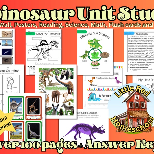 Dinosaur Flash Cards - Etsy