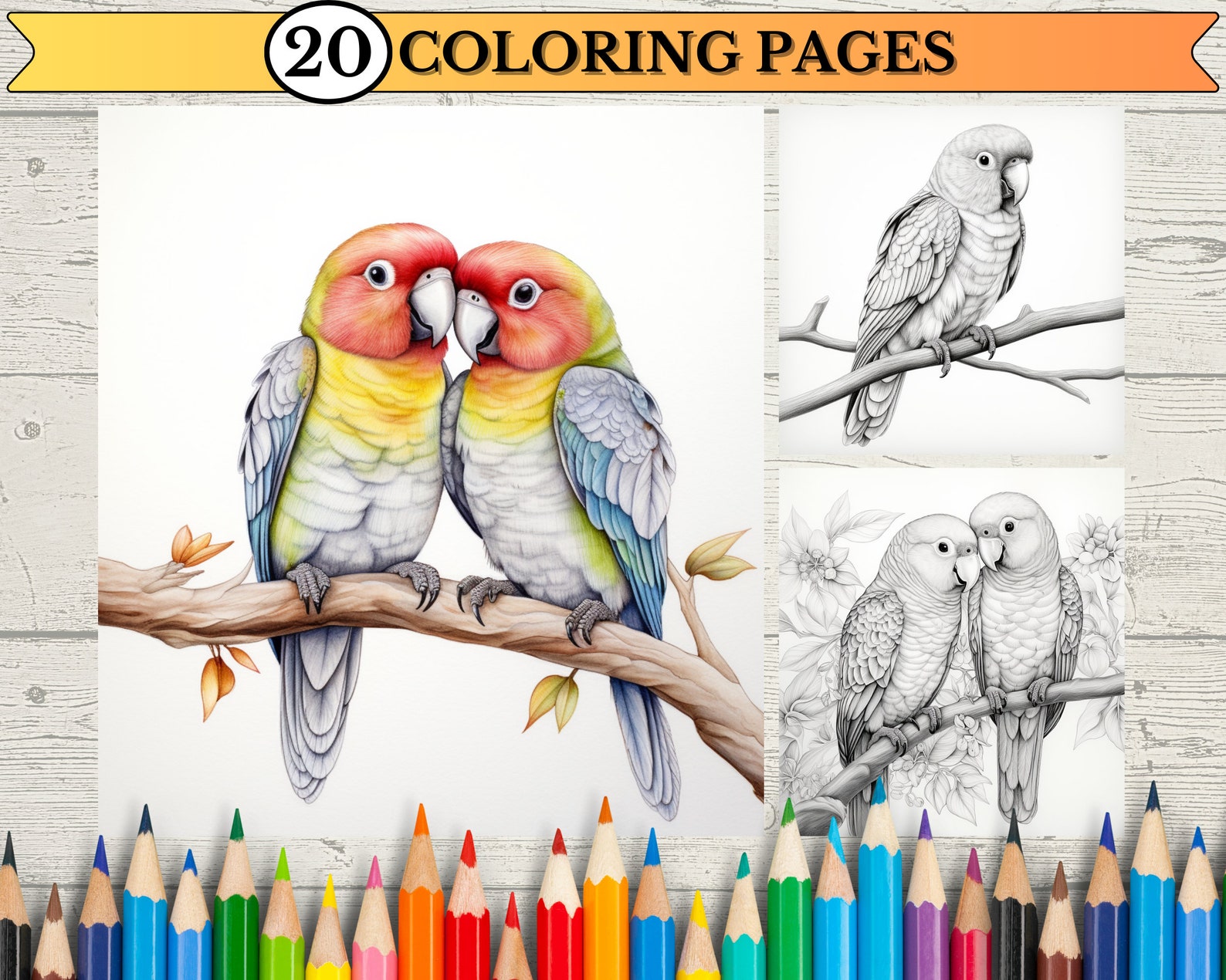 Parrot Coloring Pages for Adults and Kids, Parrot Coloring Book, Birds ...