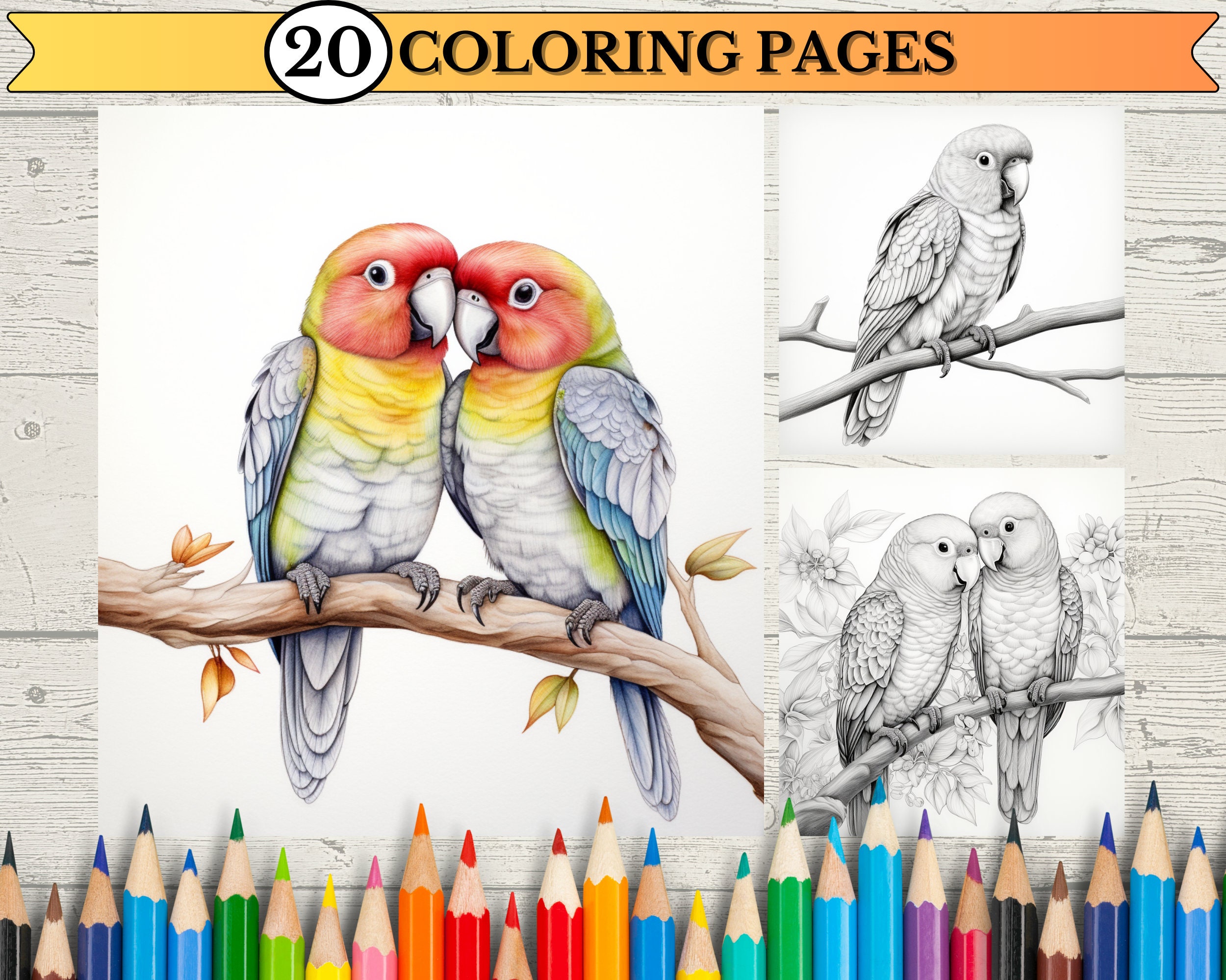 Parrot Coloring Pages for Adults and Kids, Parrot Coloring Book, Birds ...