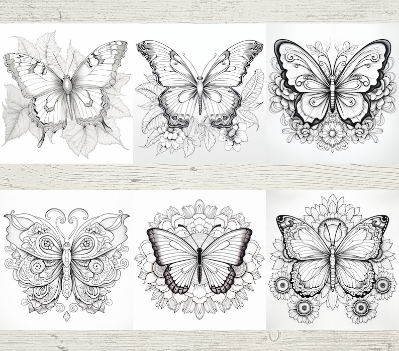 Butterfly Coloring Pages for Adult and Kids Butterfly Mandala - Etsy