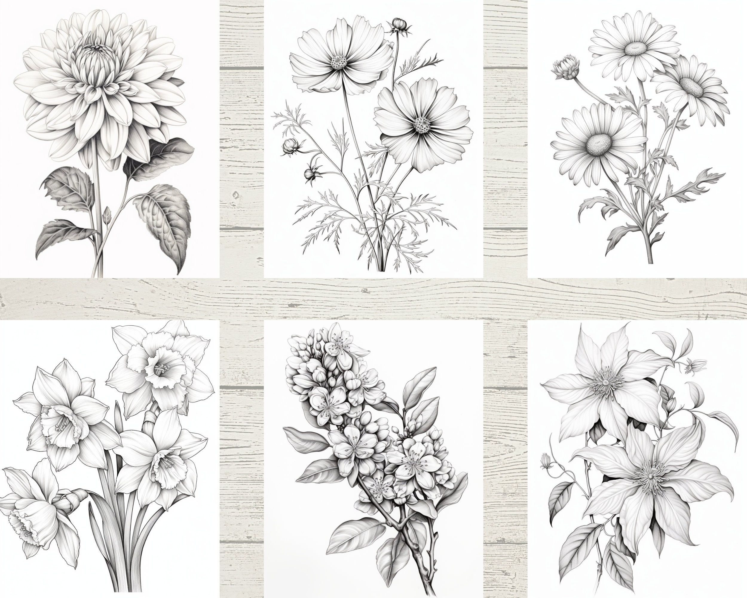 30 Flower Coloring Pages: Grayscale Floral Illustrations (PDF Printable ...