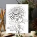 30 Flower Coloring Book Coloring Pages Adults Kids Grayscale - Etsy