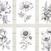 30 Flower Coloring Book Coloring Pages Adults Kids Grayscale - Etsy