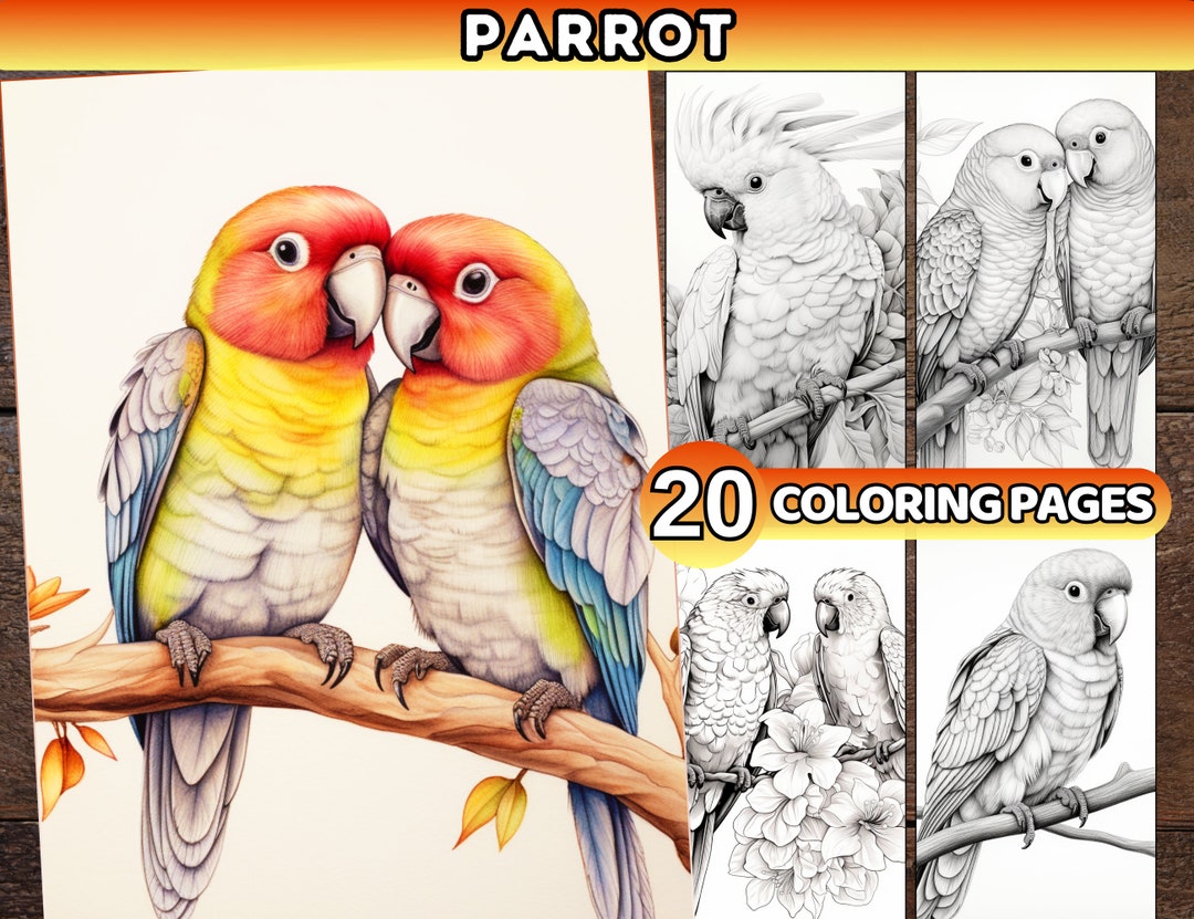 Parrot Coloring Pages for Adults and Kids, Parrot Coloring Book, Birds ...