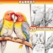 Parrot Coloring Pages for Adults and Kids, Parrot Coloring Book, Birds ...