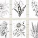 30 Flower Coloring Book Coloring Pages Adults Kids Grayscale - Etsy