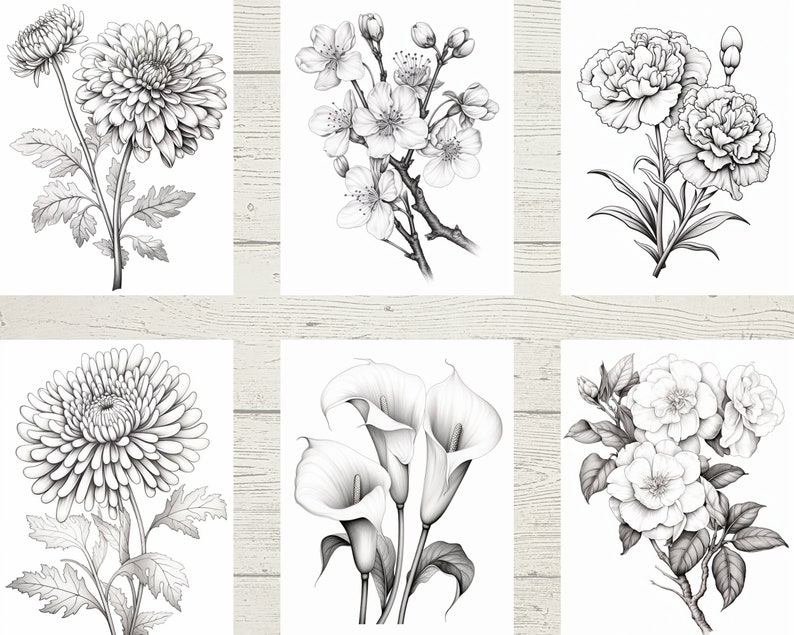 30 Flower Coloring Book Coloring Pages Adults Kids Grayscale - Etsy