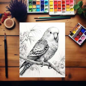 Parrot Coloring Pages for Adults and Kids, Parrot Coloring Book, Birds ...