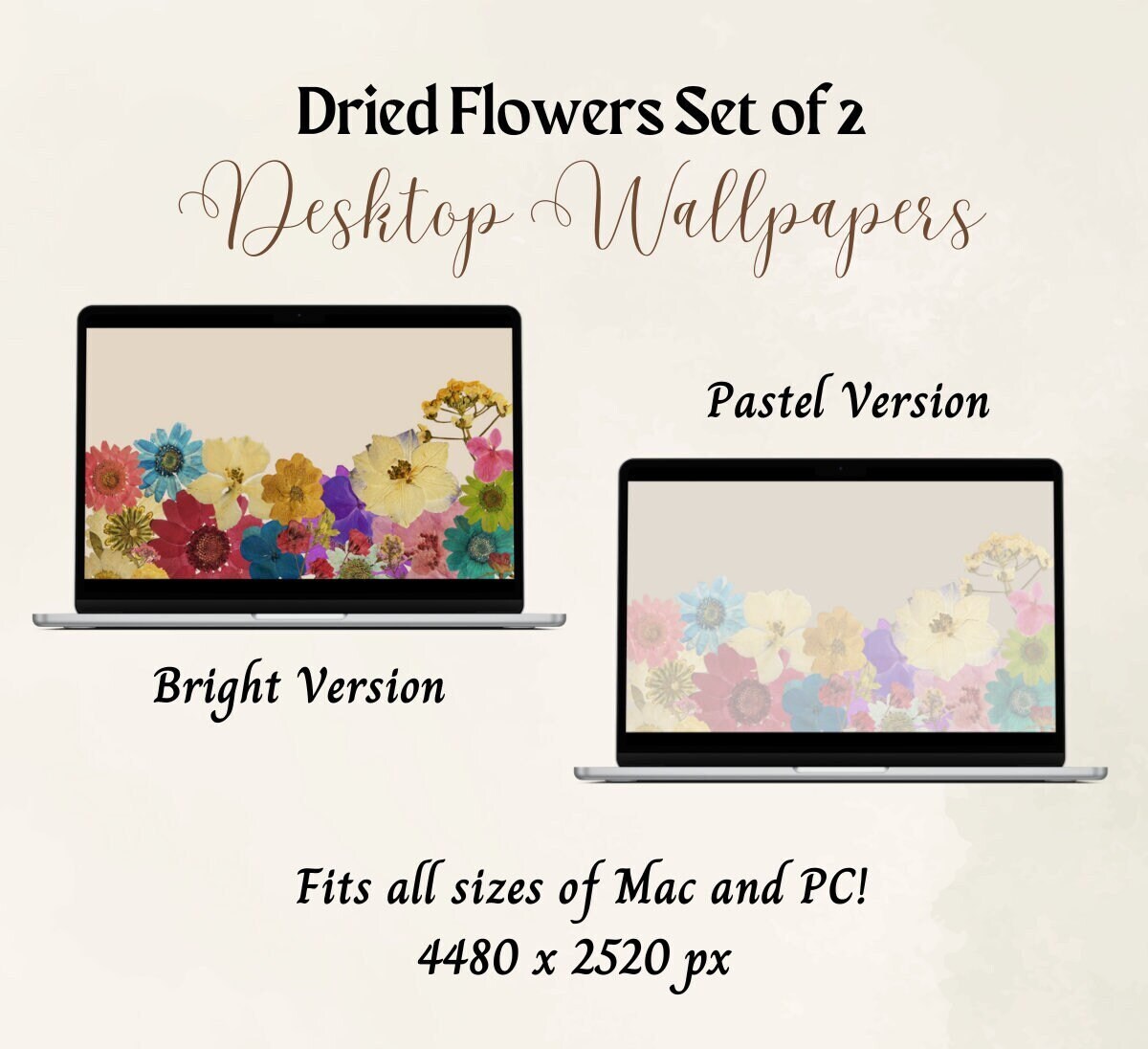 Dried Flowers Set of 2 Desktop Wallpapers, 4480 X 2520 Pixels ...