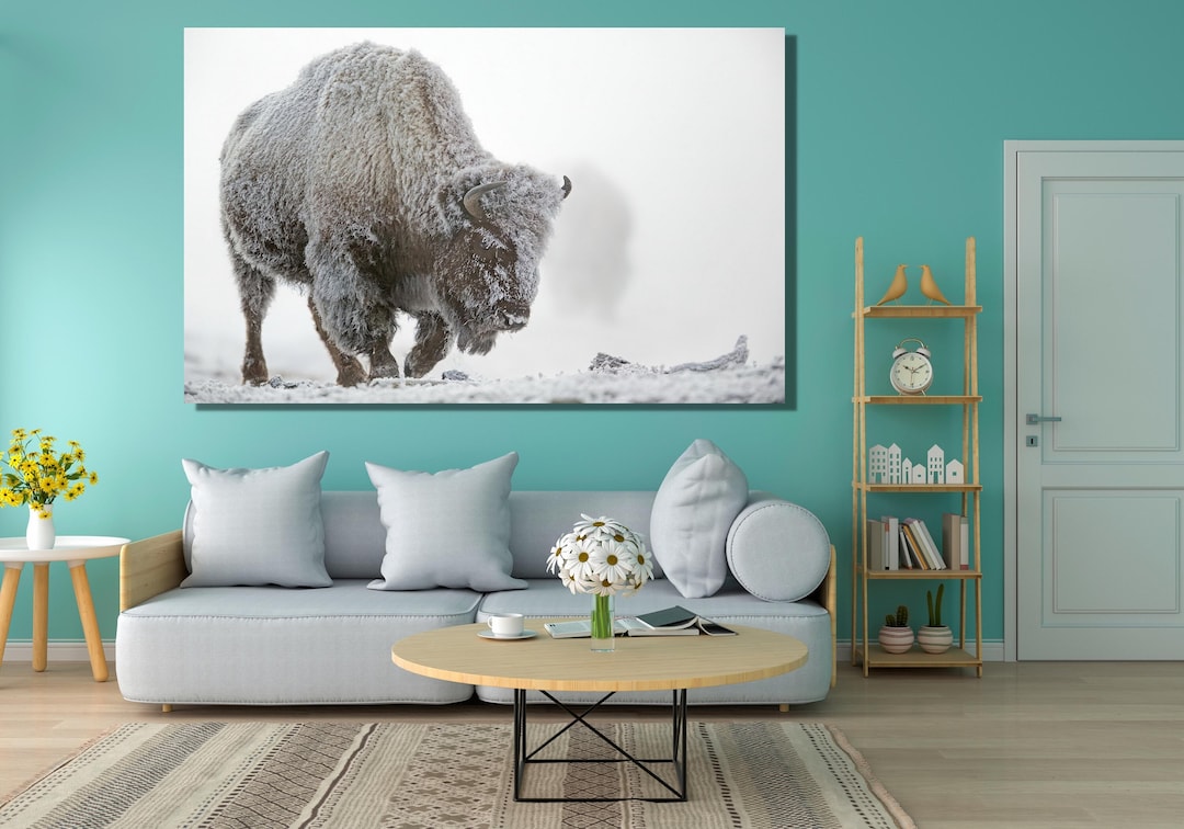Buffalo Bison Ready to Hang Canvas, Buffalo Skull Canvas Wall Hanging ...