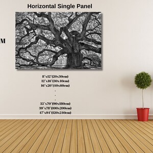 Oak Black and White, Beautiful Canvas Print, Ready to Hang, Oak Tree ...