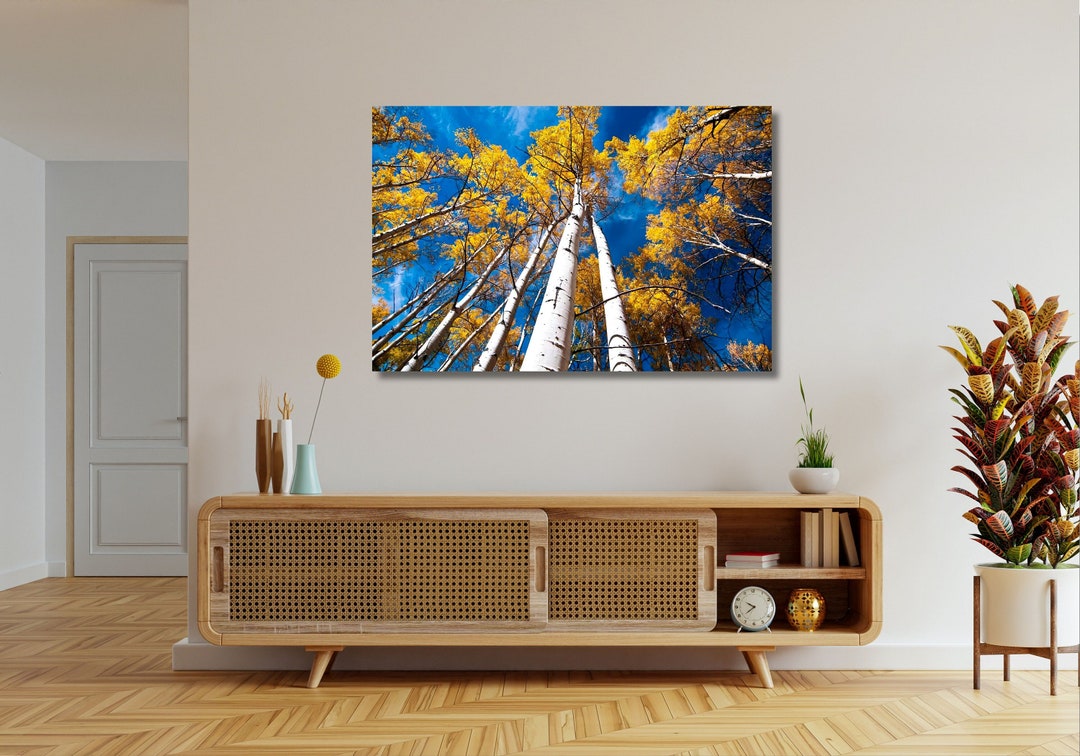 Aspen Trees and Blue Skies, 3 Panel Split (triptych) Canvas Print ...
