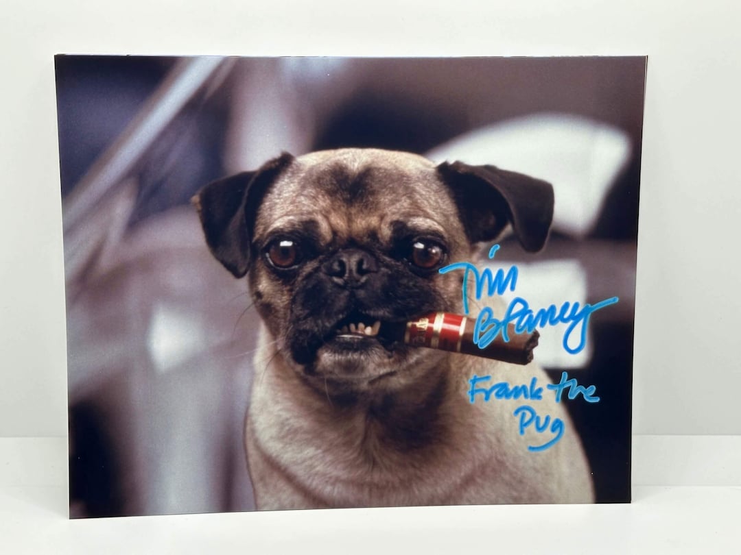 Tim Blaney Frank the Pug Men in Black Signed Autographed Photo Authentic 8X10 COA - Etsy
