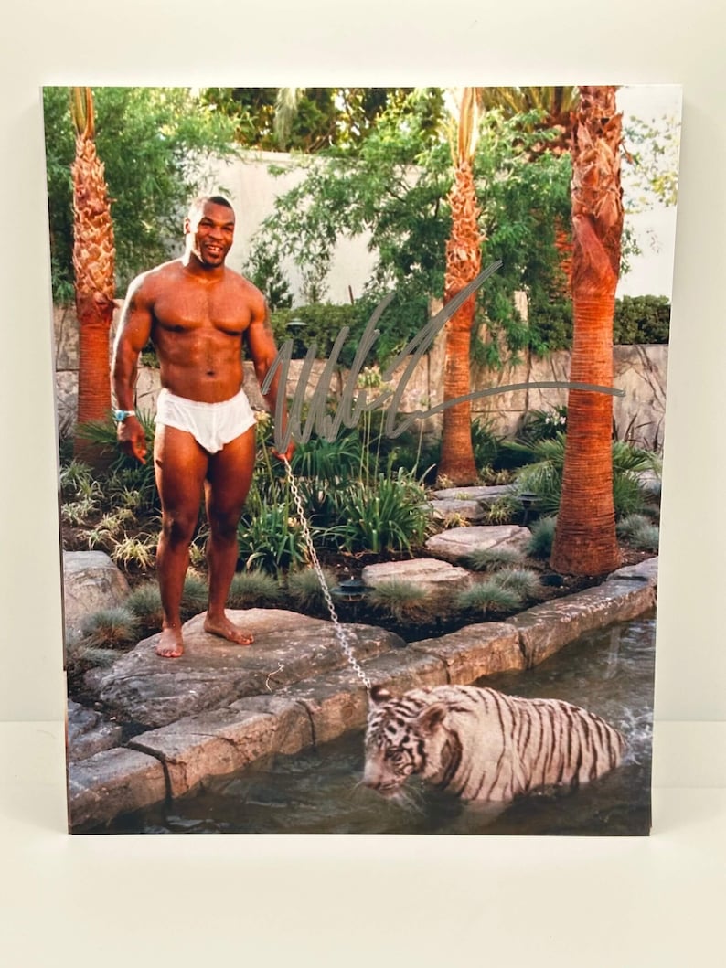 Mike Tyson Underwear Tiger Signed Autographed Photo Authentic 8X10 COA ...