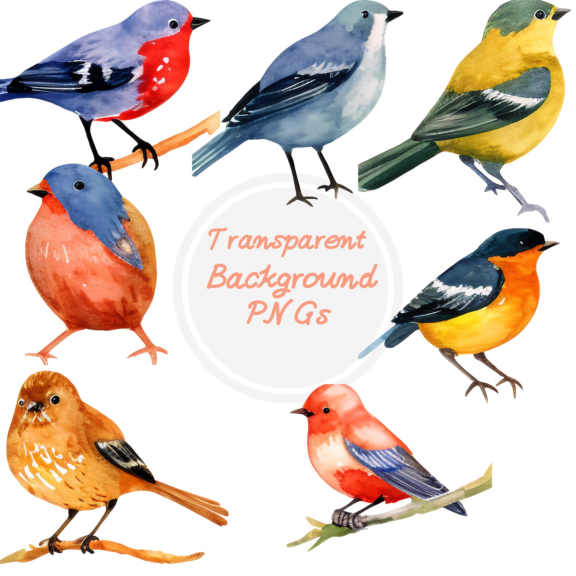 17 Watercolor Birds Clipart Clipart Bundle Instant Download - Etsy