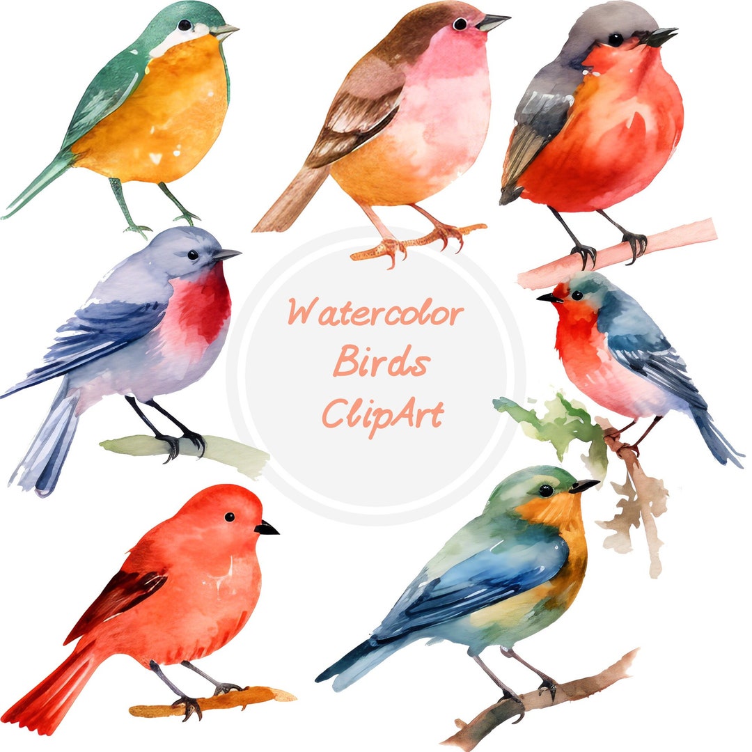 17 Watercolor Birds Clipart Clipart Bundle Instant Download - Etsy