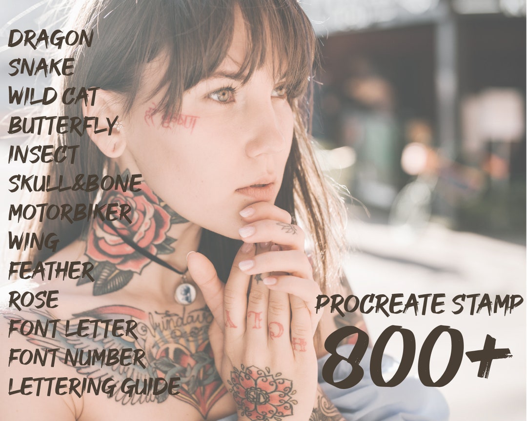 800 Procreate Traditional Tattoo Stamps Dragon Snake Skull Wild Cats Insect Butterfly Feather ...