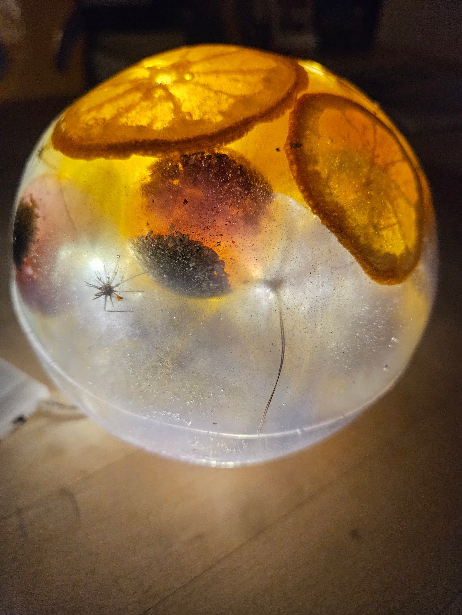 Large Navel Orange Resin Orb With LED Fairy Lights - Etsy