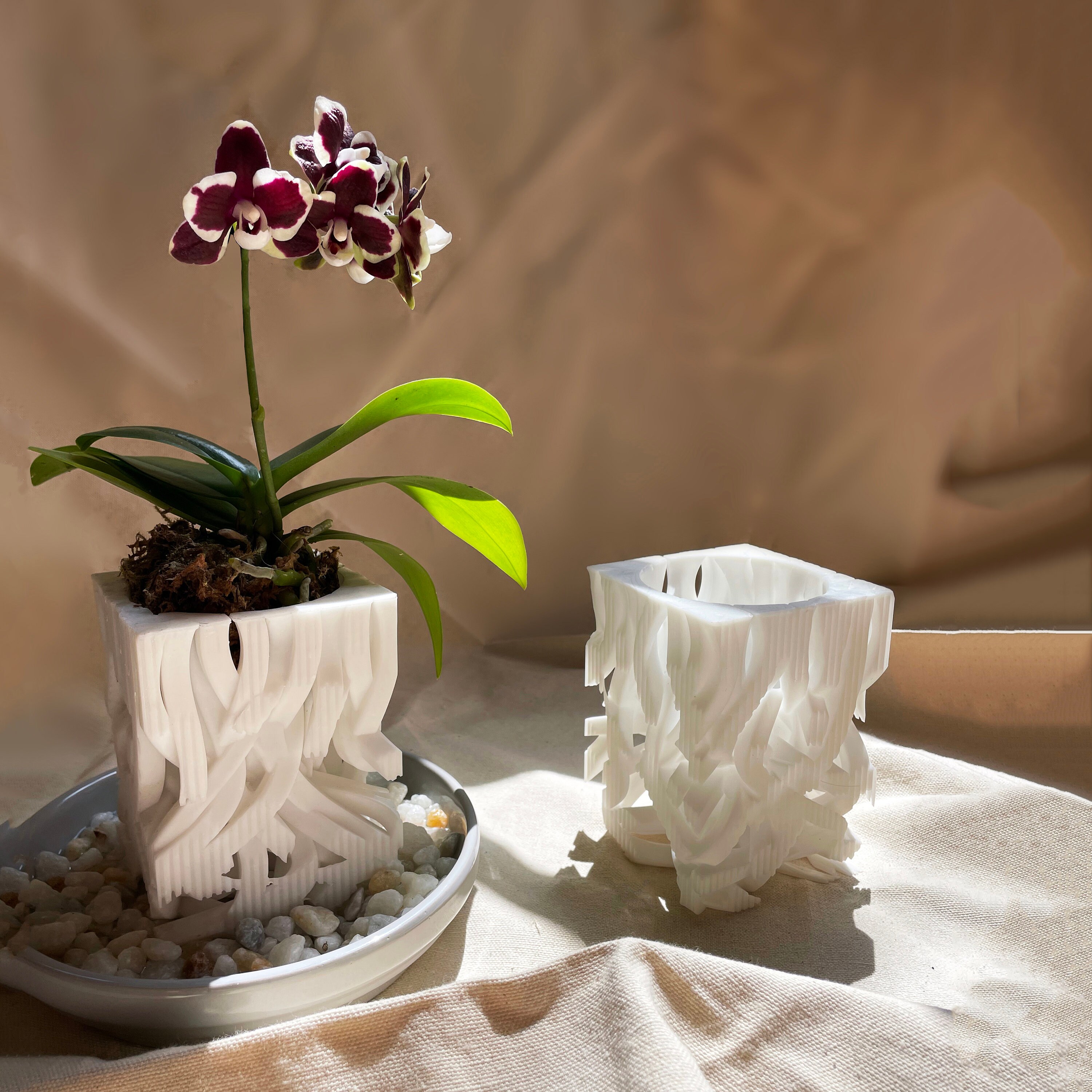 Architeuthis Planter - Porous Pots for Orchids - Etsy
