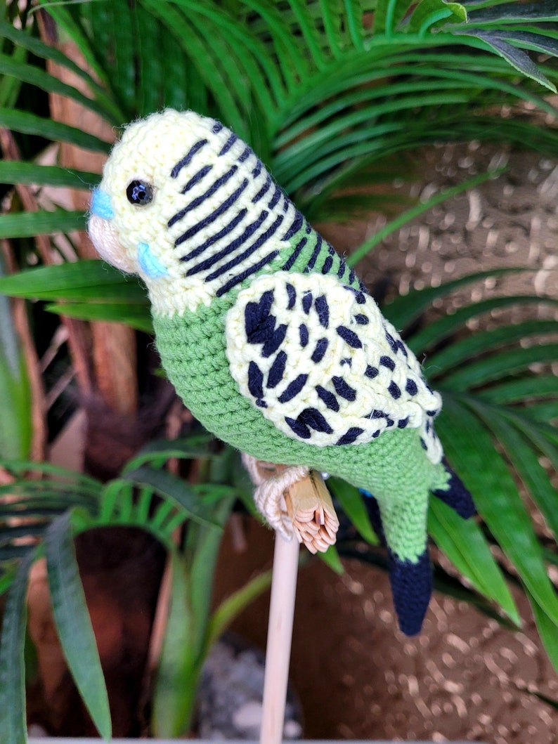 CROCHET PATTERN Bird Toy Pattern Amigurumi Budgie Pattern Stuffed ...