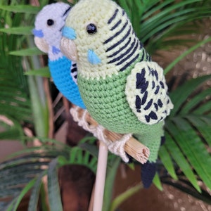 CROCHET PATTERN Bird Toy Pattern Amigurumi Budgie Pattern Stuffed ...