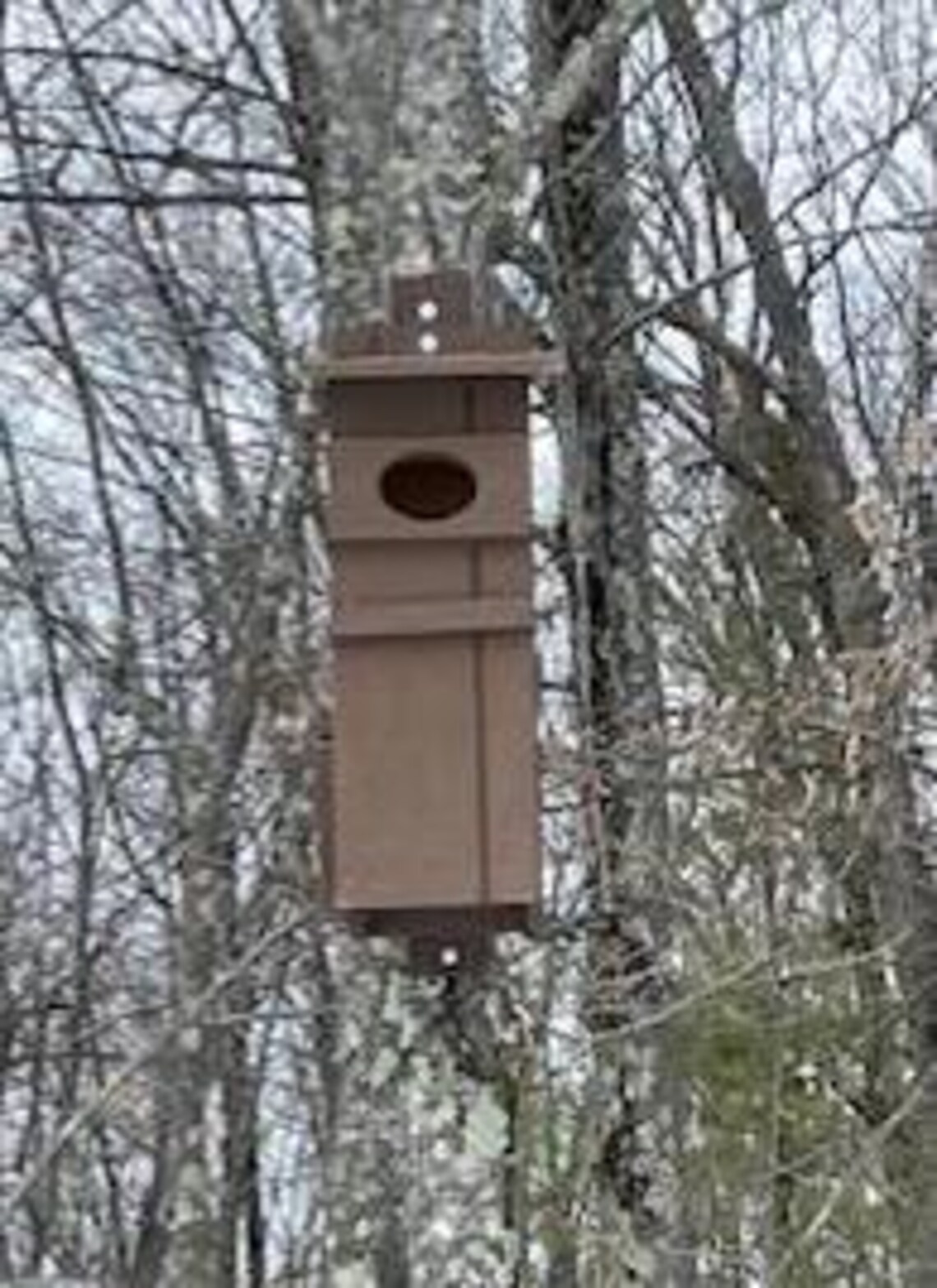 WOOD DUCK TREE Mounted House Pattern Pdf Digital File - Etsy