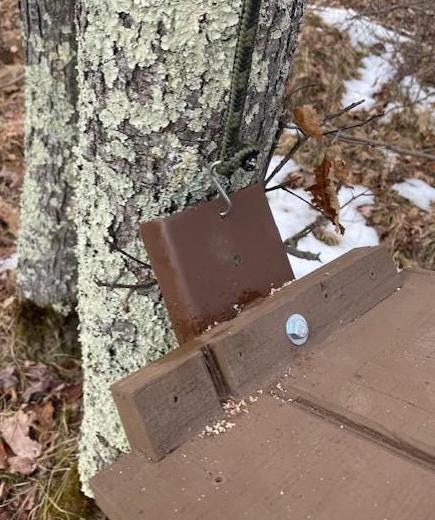 OWL NESTING BOX Digital Pdf Pattern Download - Etsy