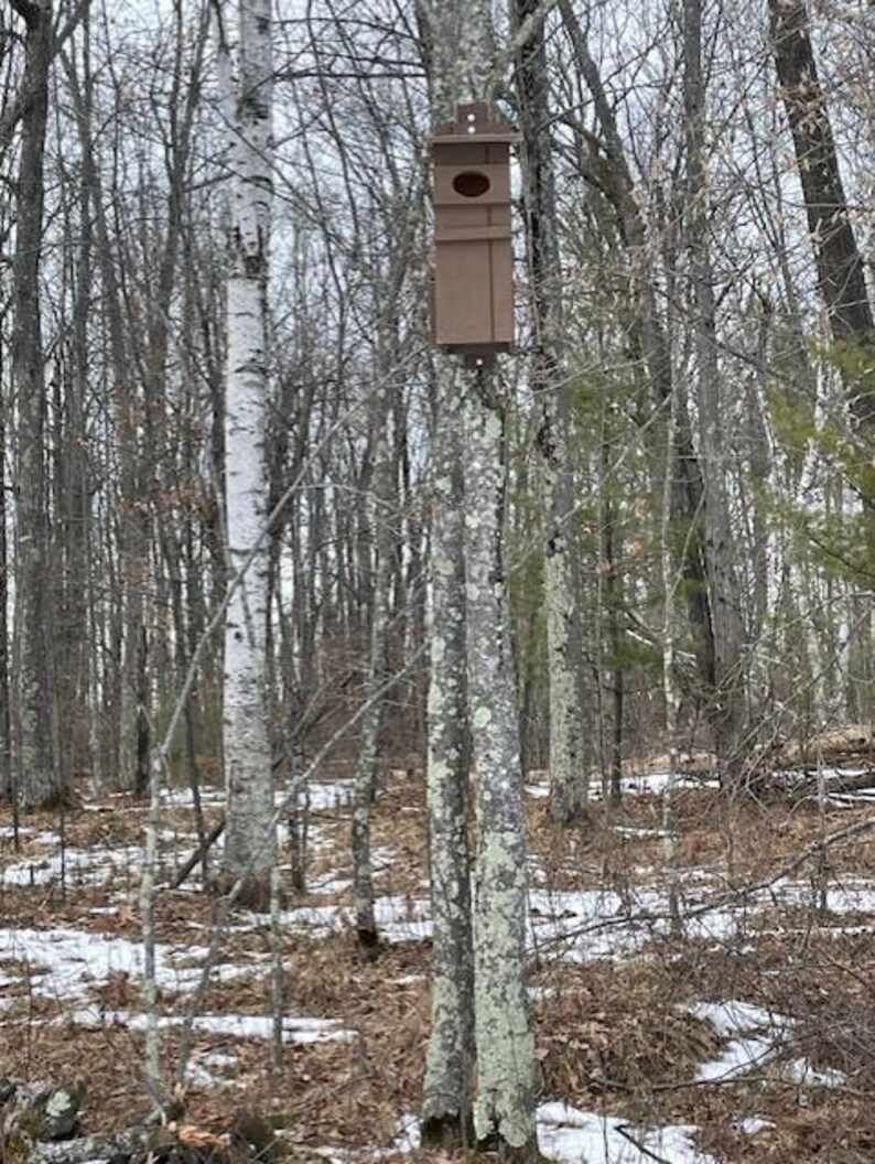 WOOD DUCK TREE Mounted House Pattern Pdf Digital File - Etsy