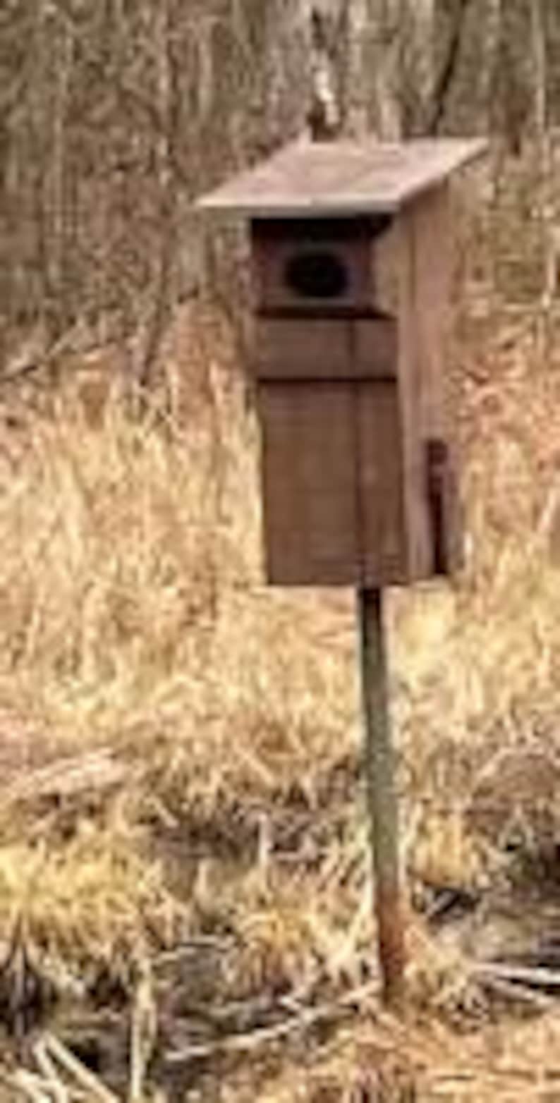 Wood Duck House Pole Mounted Plan DIY Digital Download Pattern by ...