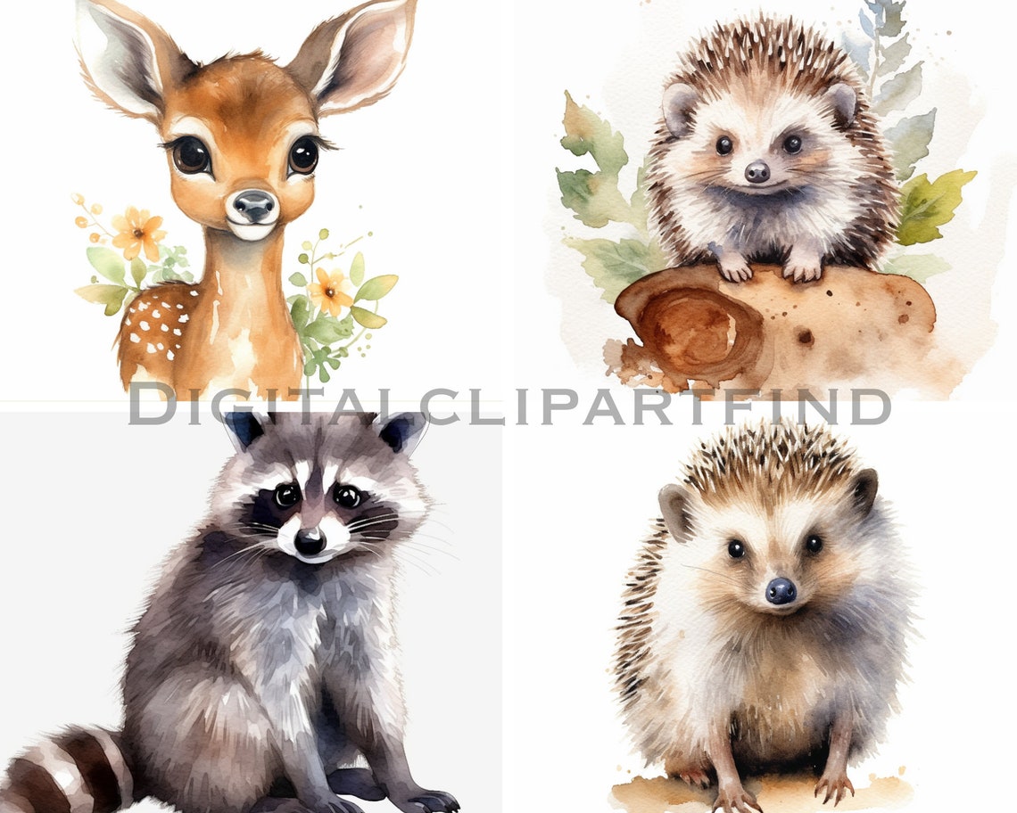 Woodland Animals Clipart Watercolor Clipart for Commercial Use ...