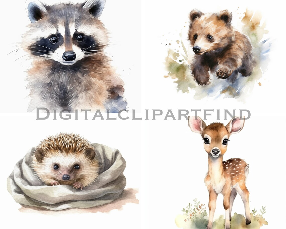 Woodland Animals Clipart Watercolor Clipart for Commercial Use ...