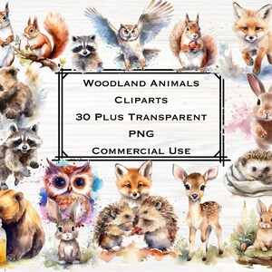 Woodland Animals Clipart Watercolor Clipart for Commercial Use ...