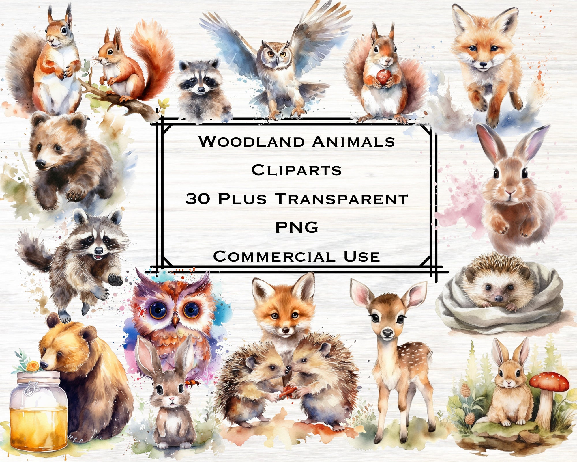 Woodland Animals Clipart Watercolor Clipart for Commercial Use ...