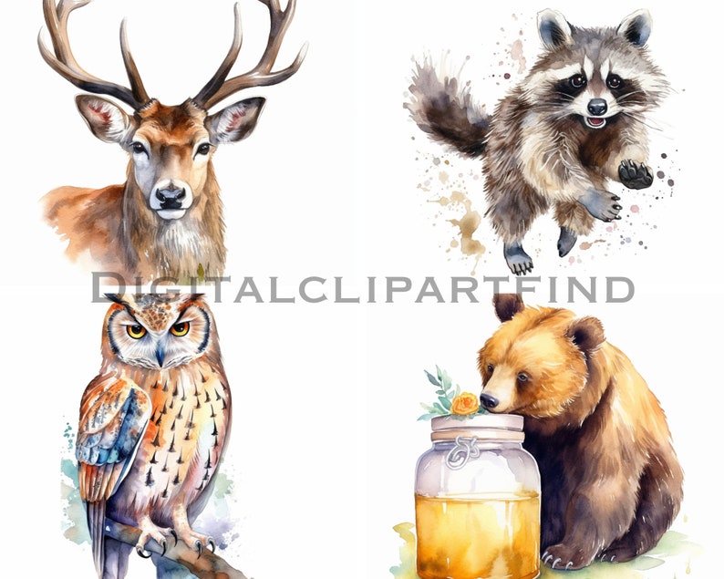Woodland Animals Clipart Watercolor Clipart for Commercial Use ...